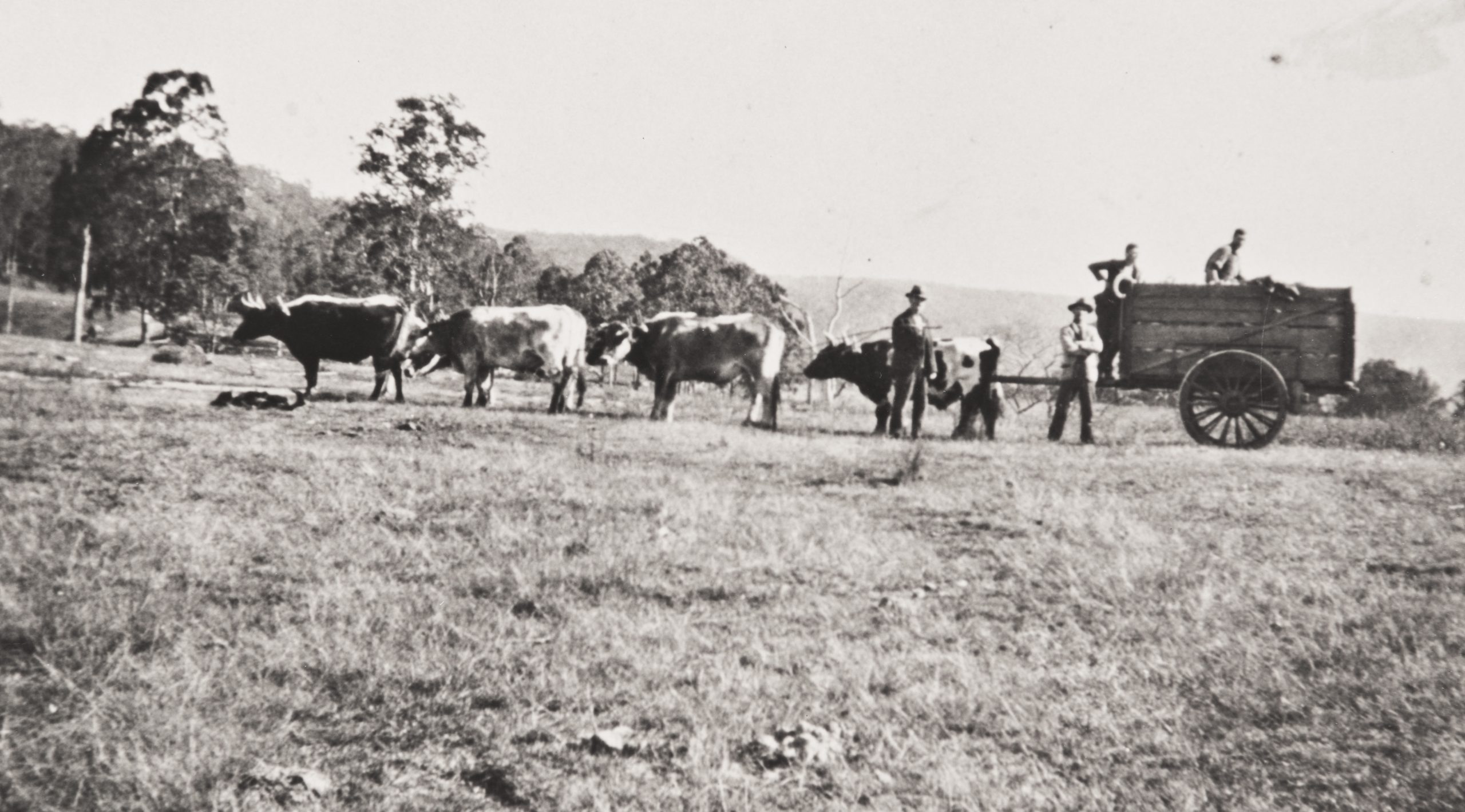 The Farm — Bundanon