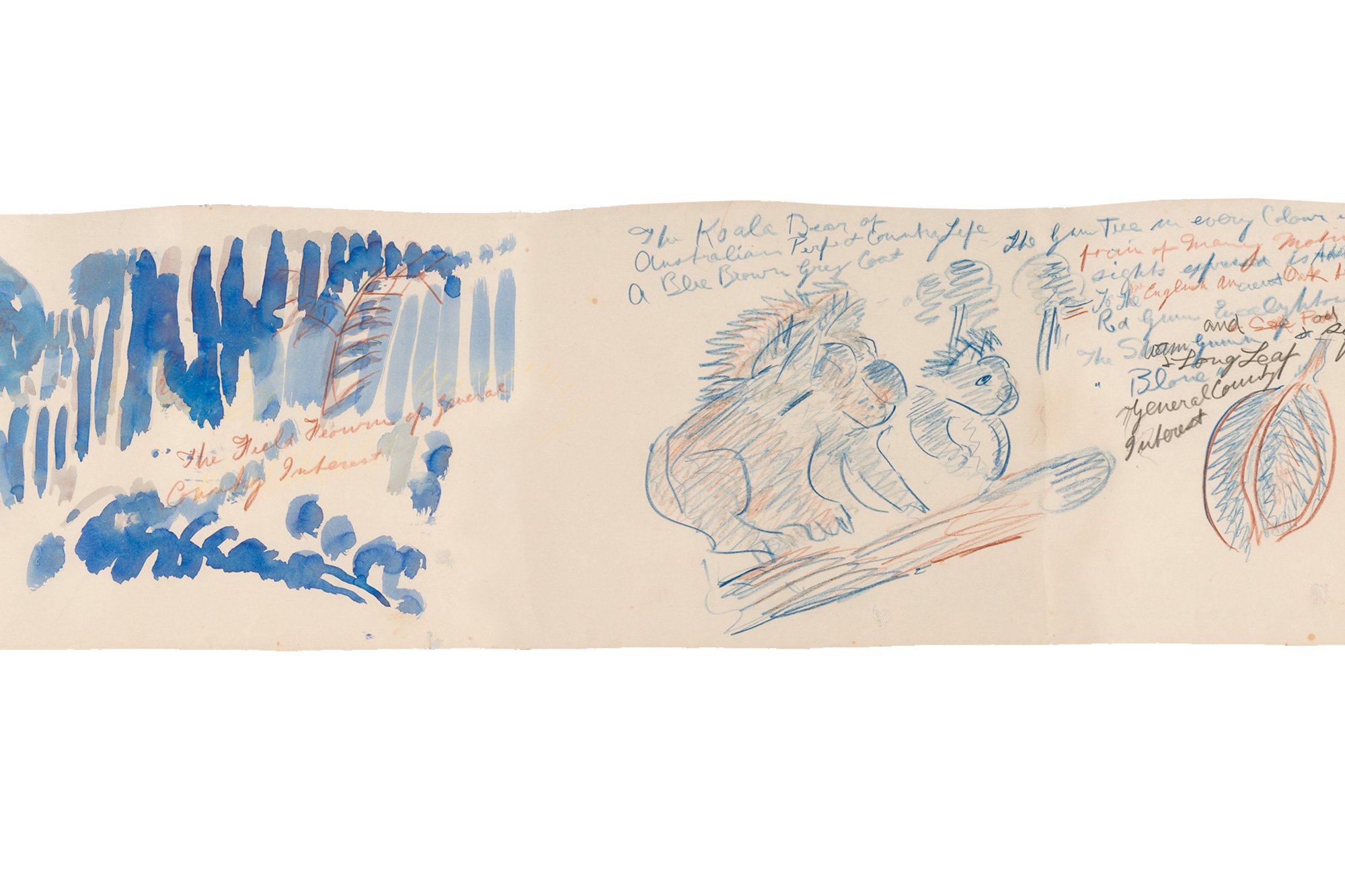 Compelled To Draw — Bundanon