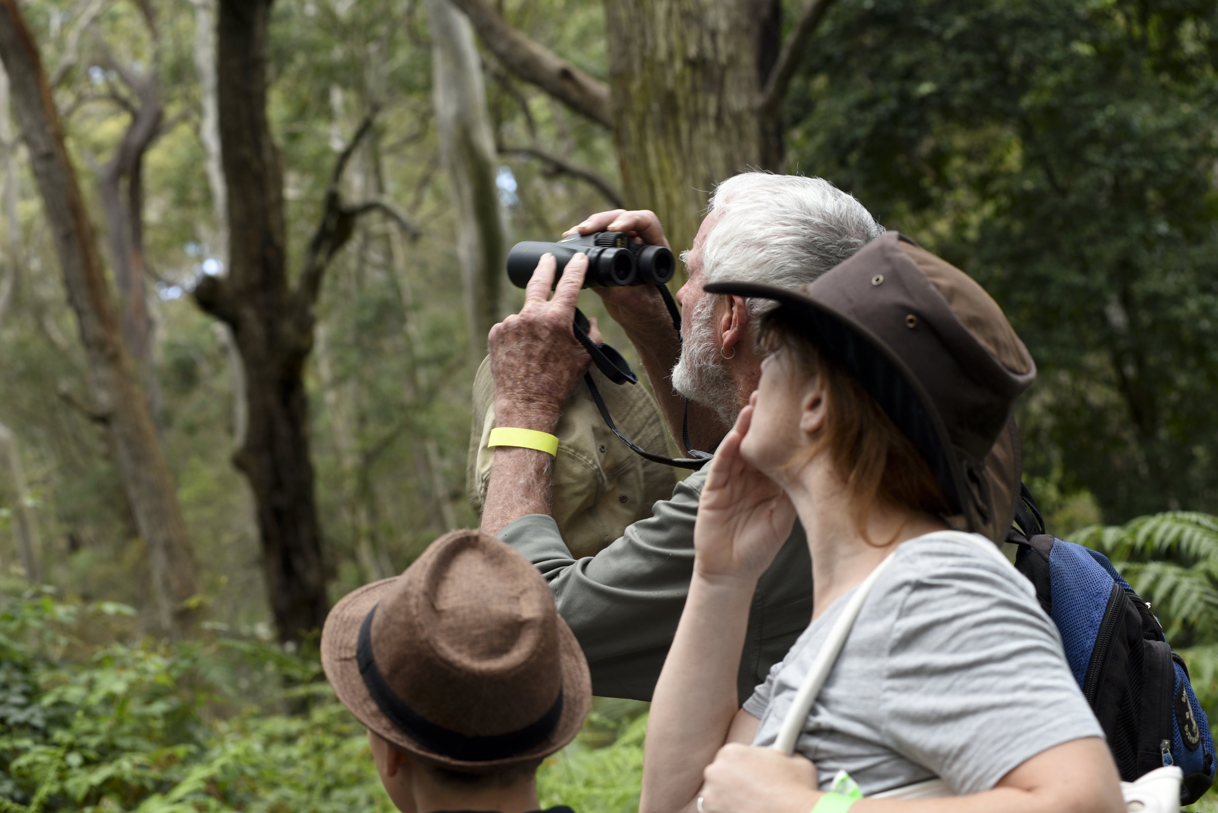 Walking Bundanon: Haunted Point with Garry Daly — Bundanon