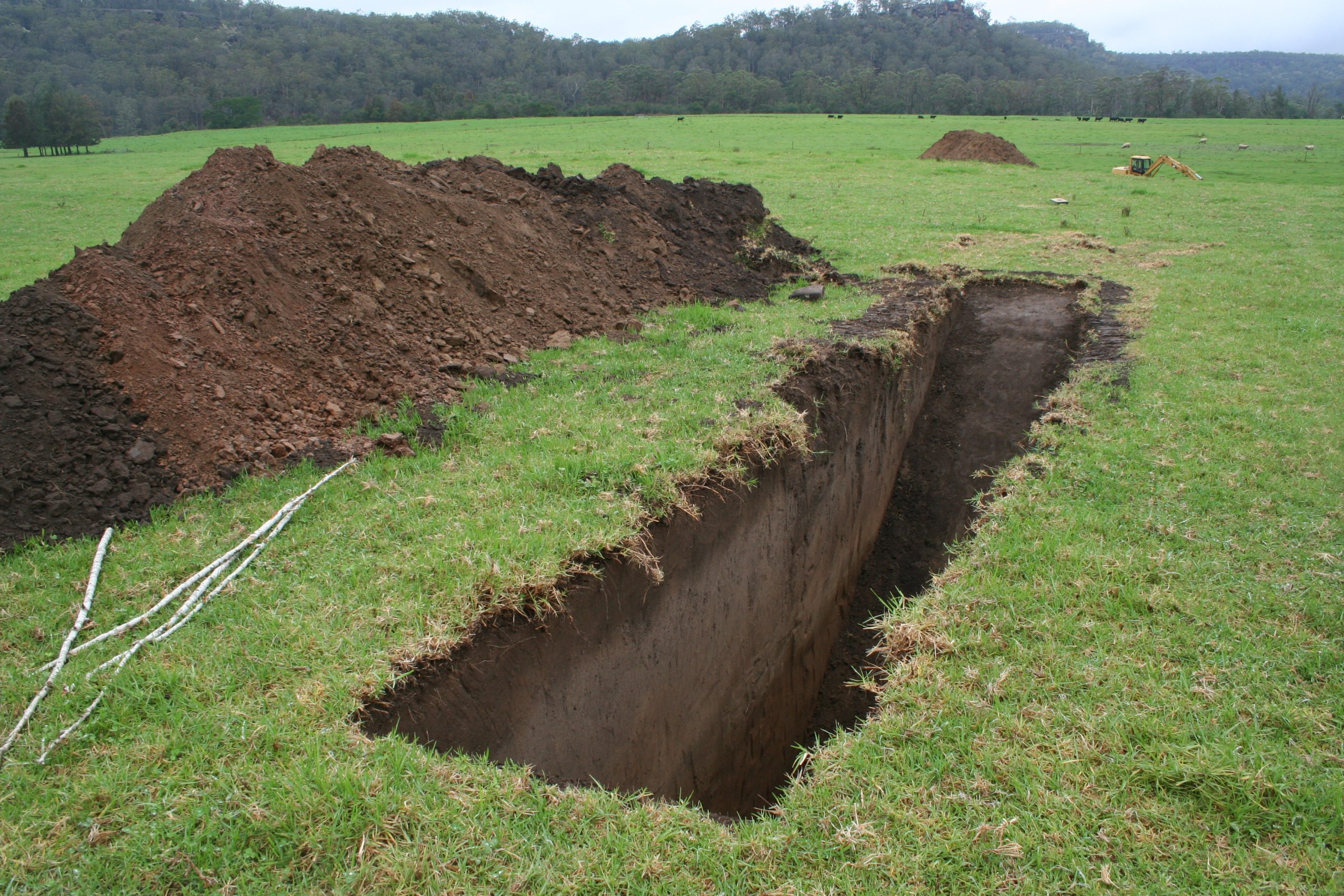 Ten Trenches: A Science-Art Collaborations, T.J. Cohen — Bundanon