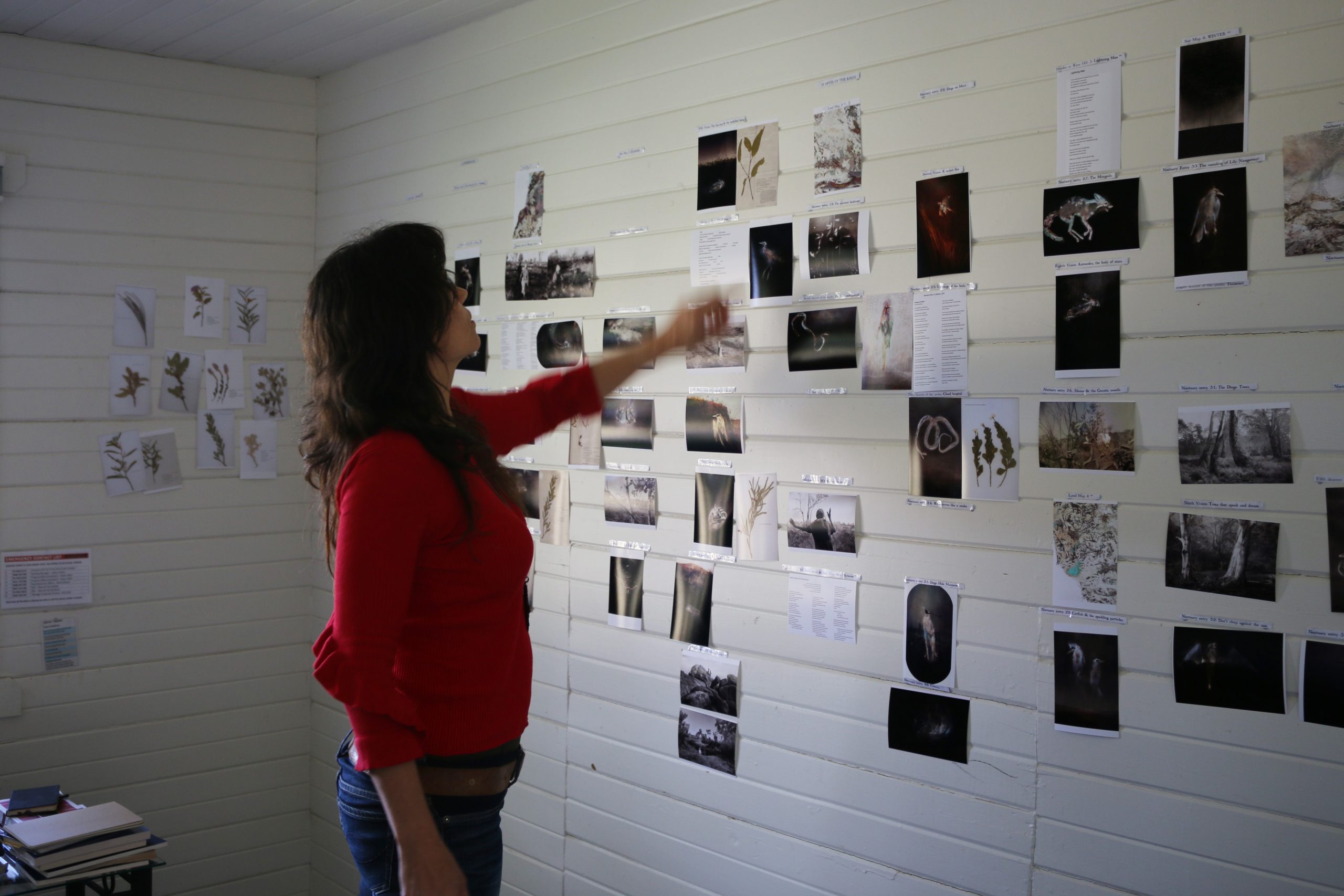 Judith Crispin — Bundanon