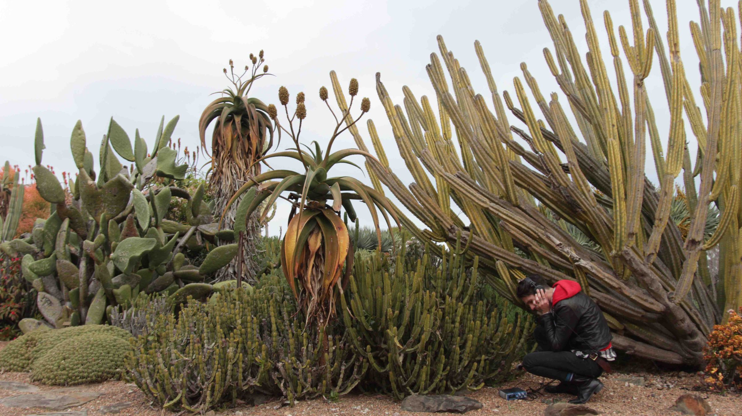 Tamryn Bennett — Bundanon