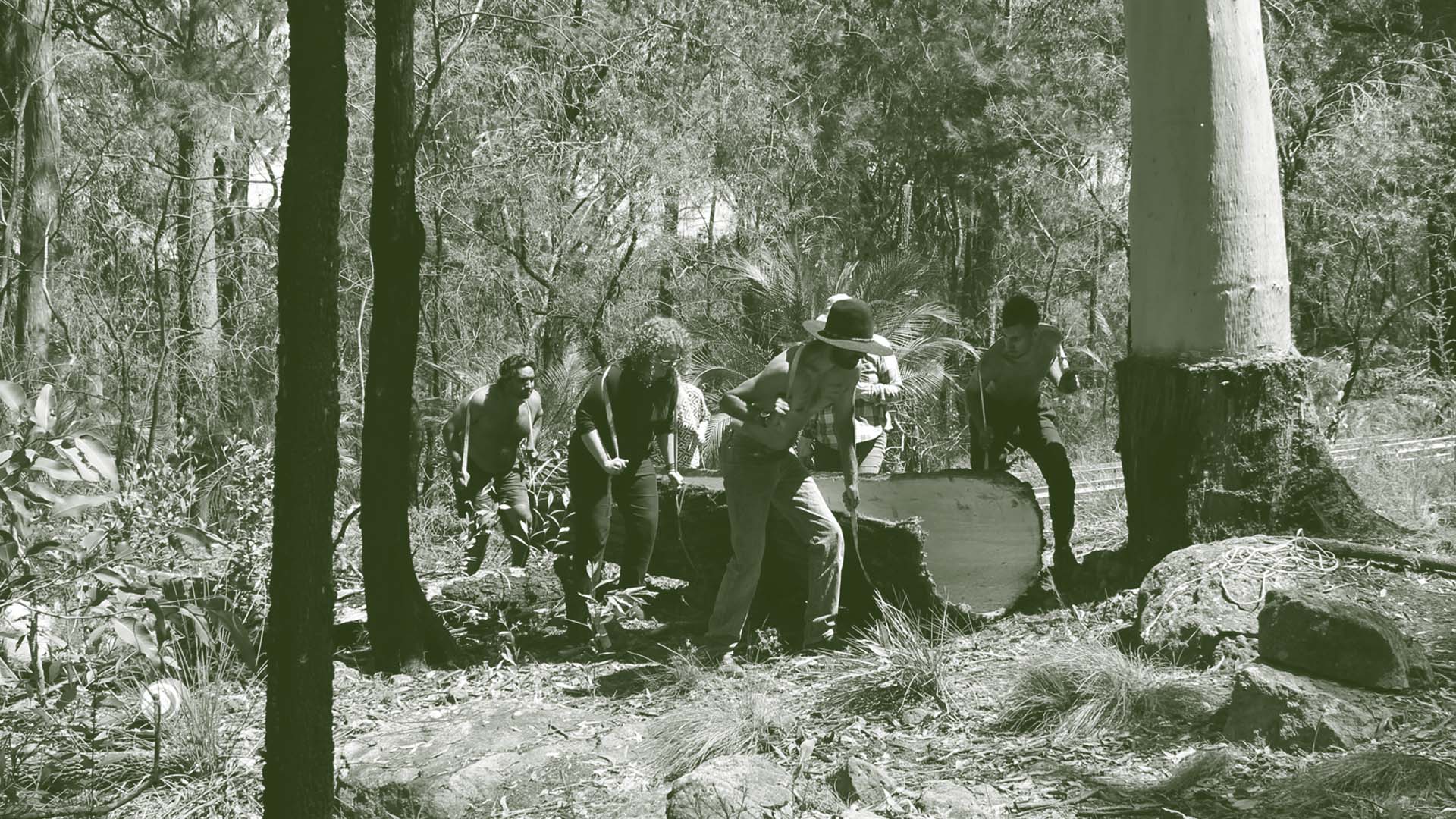 Walking Bundanon with Gadhungal Murring | Bundanon Field Days — Bundanon