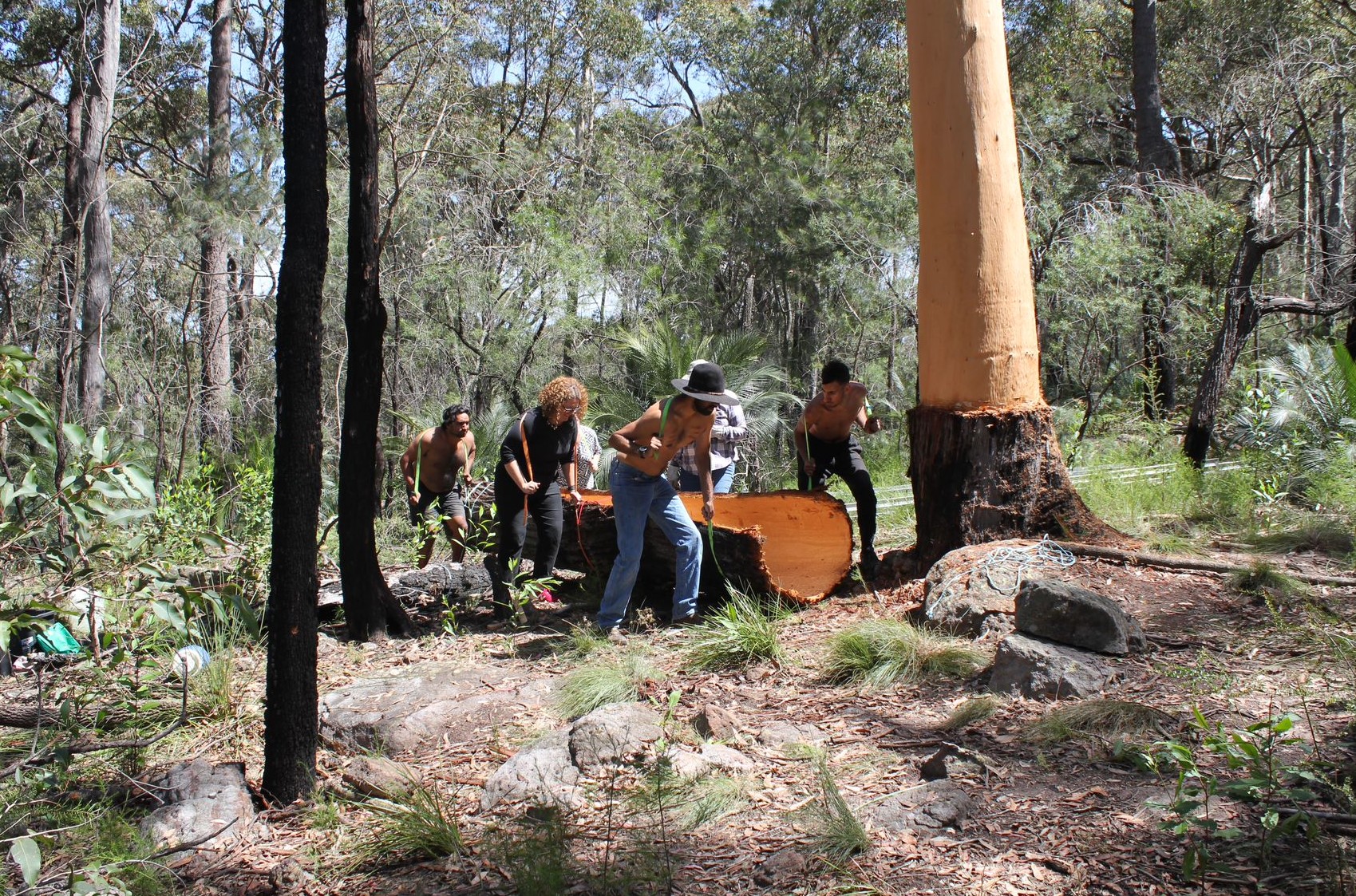 Walking Bundanon with Gadhungal Murring | 29 May — Bundanon