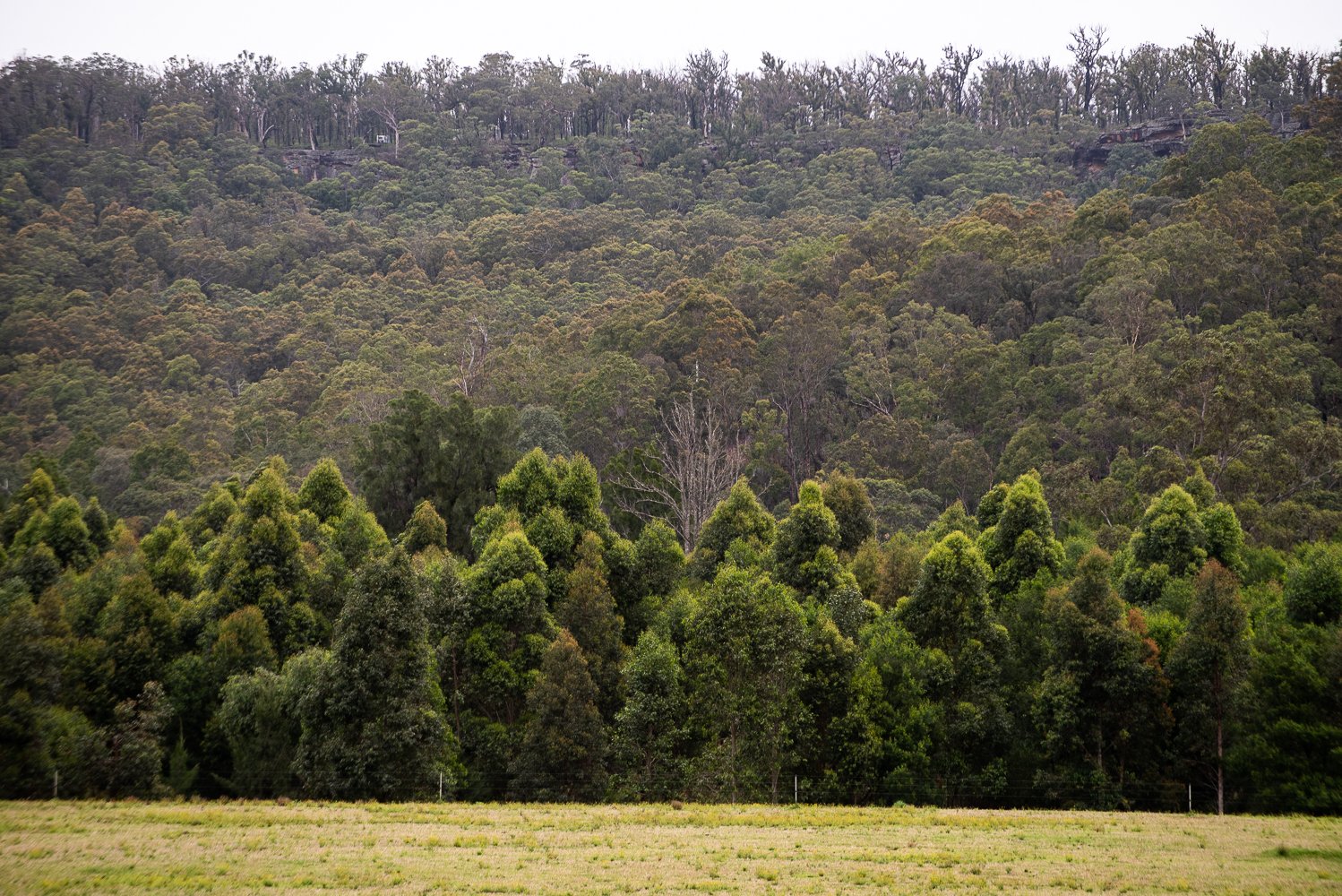 Poetry with Scott-Patrick Mitchell — Bundanon