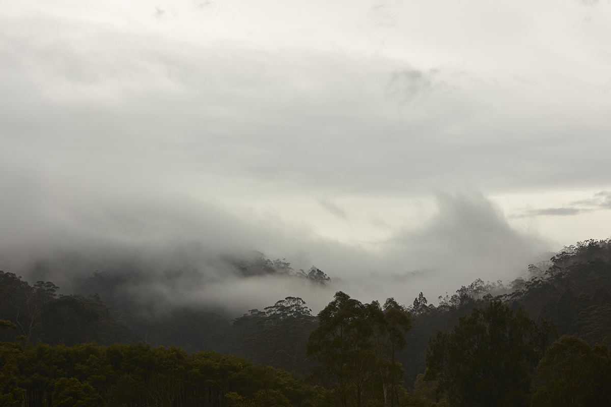 Bundanon Relaxed: Inside, Underground — Bundanon
