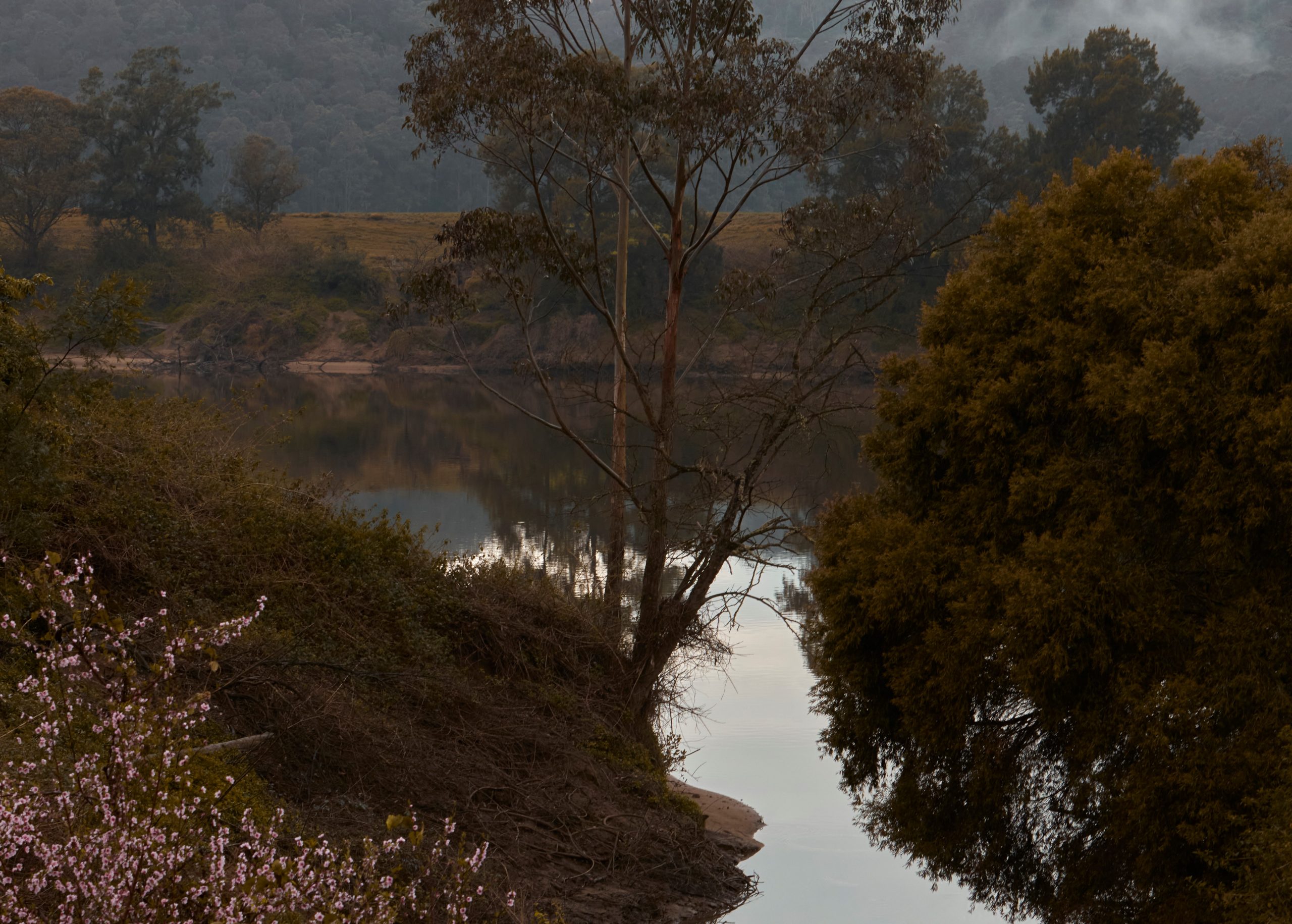 Siteworks Saturday Workshops — Bundanon