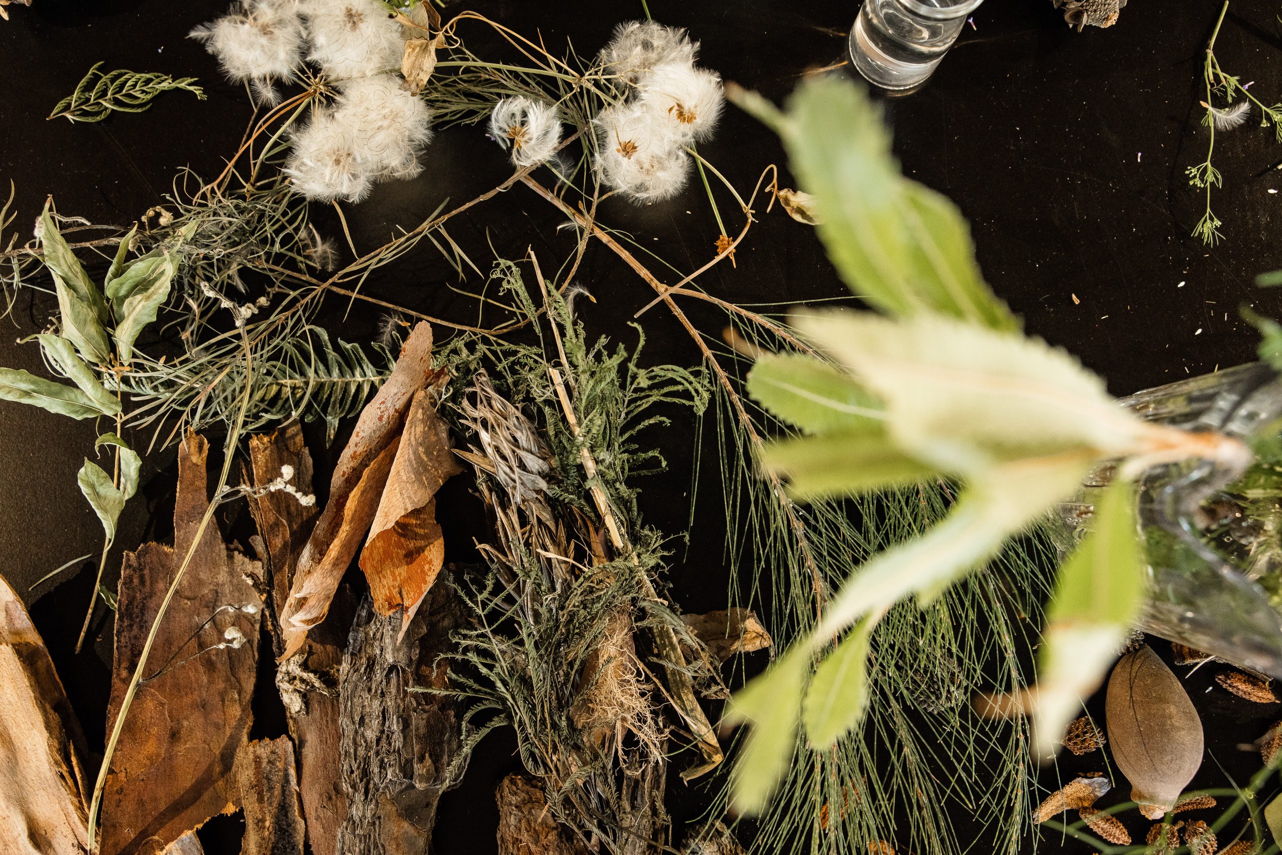Artmaking at the Homestead With Matt O'Brien — Bundanon