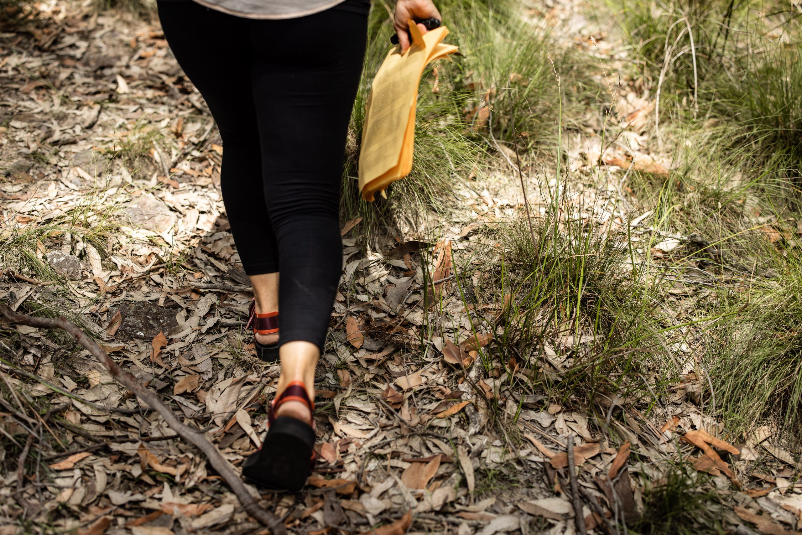 Artmaking at the Homestead With Madison Kelly — Bundanon
