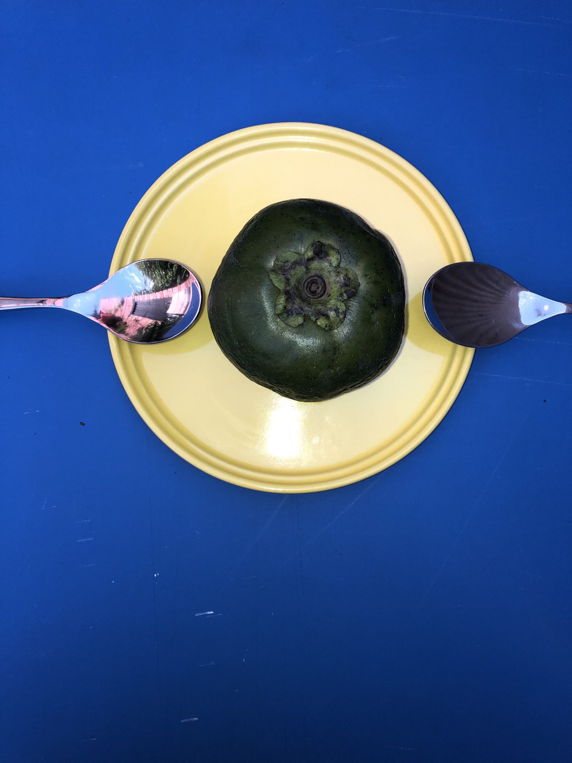 Jordi Infeld & Rachel Schenberg — Bundanon