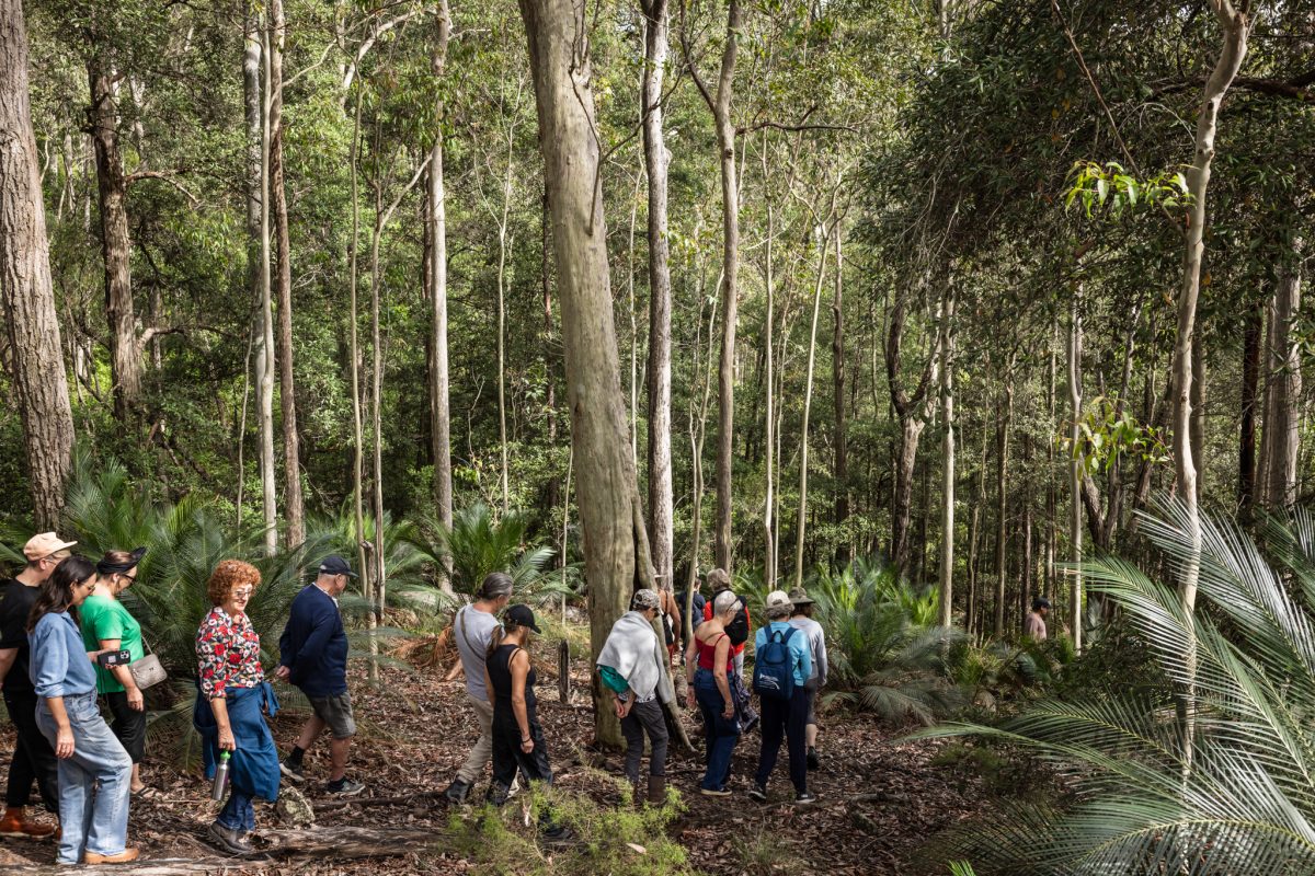 Reading Country — Bundanon