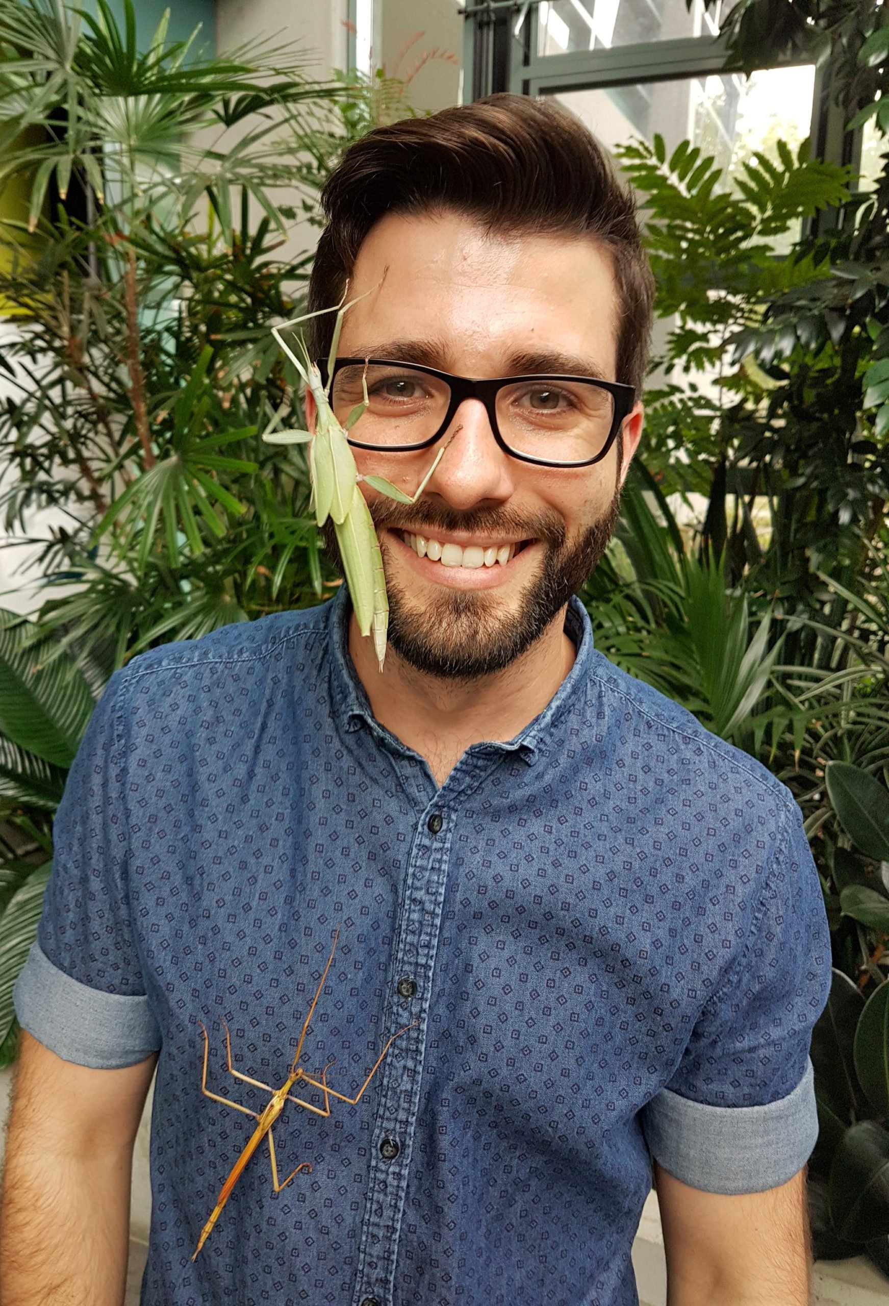 Bry the Fly GuyScience Walk & Field Work — Bundanon