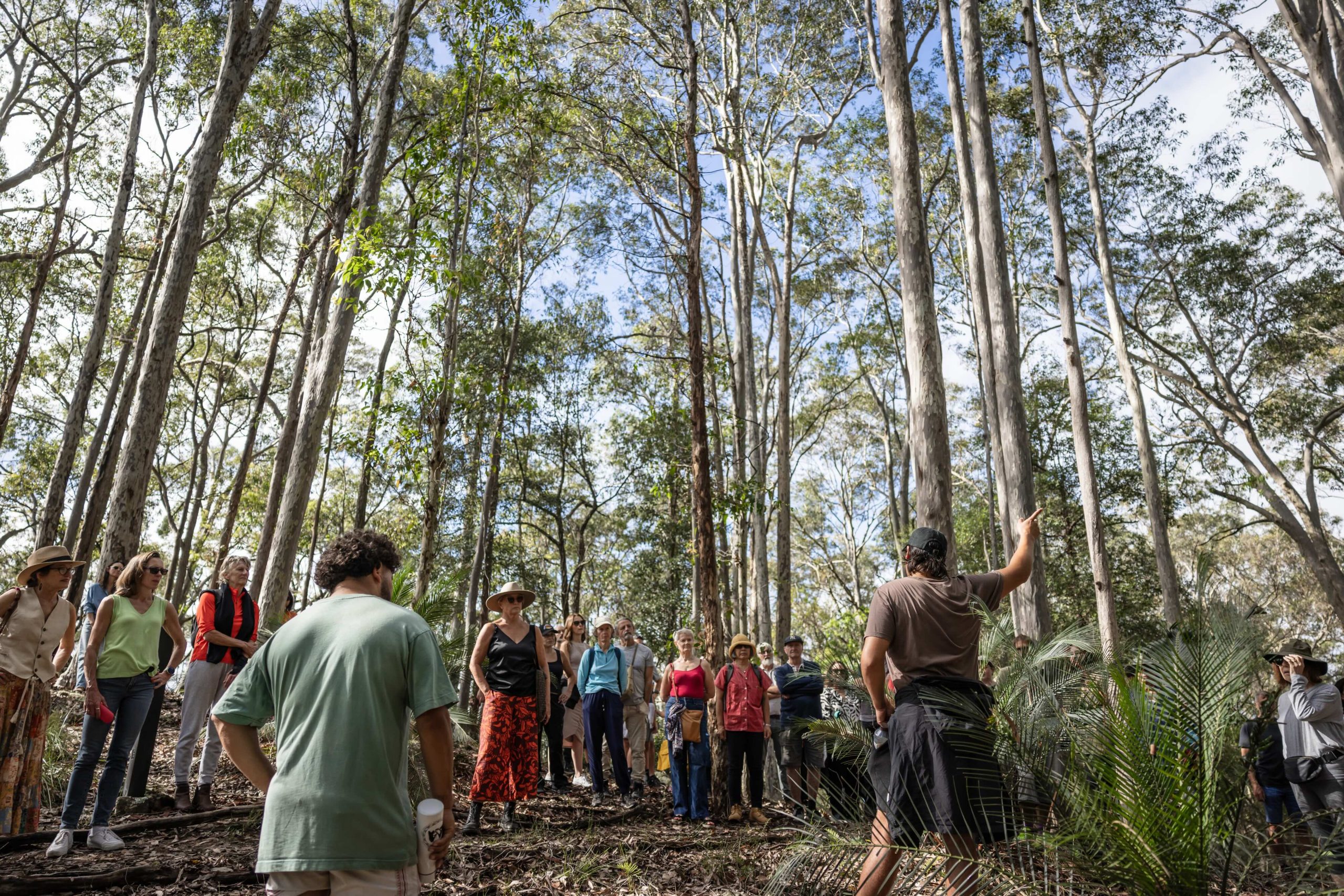 Reading Country: Cultural Walk — Bundanon